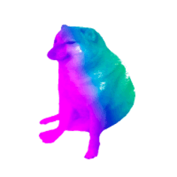 The OG Cheems Inu (OGCINU) - Events & News